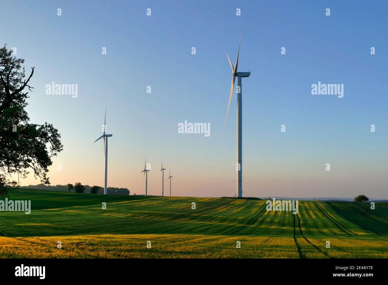 Wellingen merzig hi-res stock photography and images - Alamy