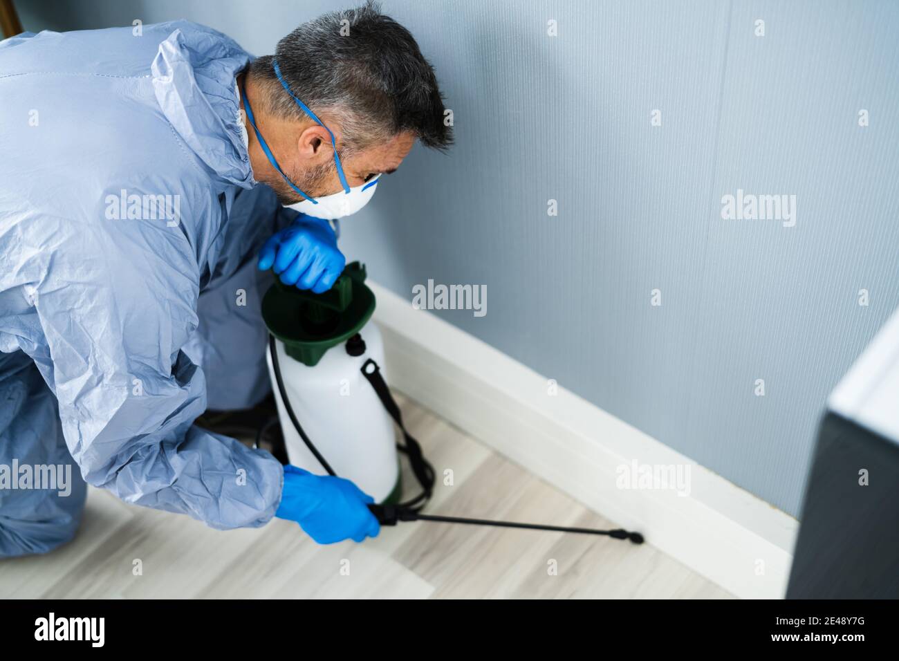 Pest Control Exterminator Man Spraying Termite Pesticide In Office ...