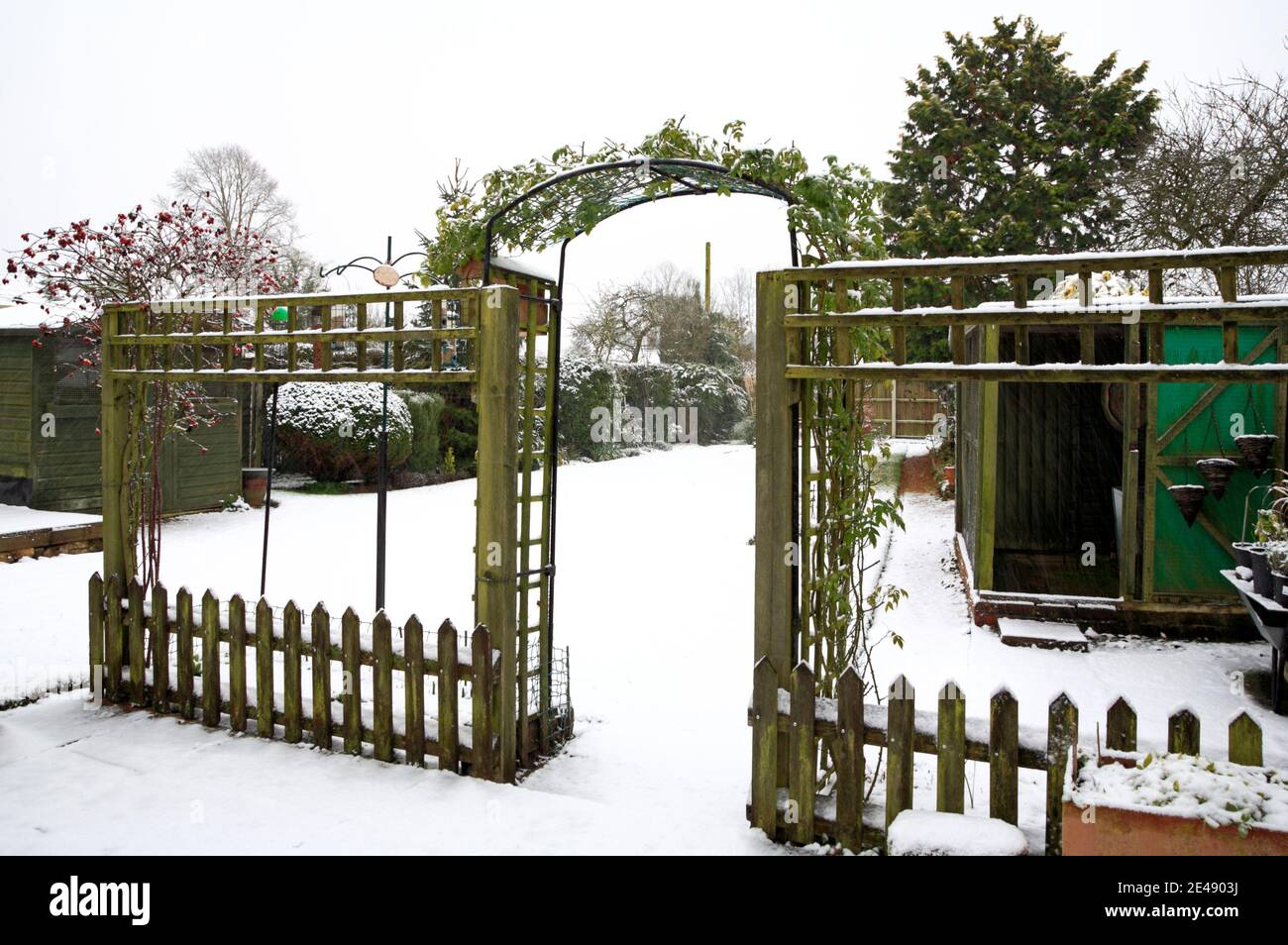 A view of an English back garden in winter with snow covered lawn and ...