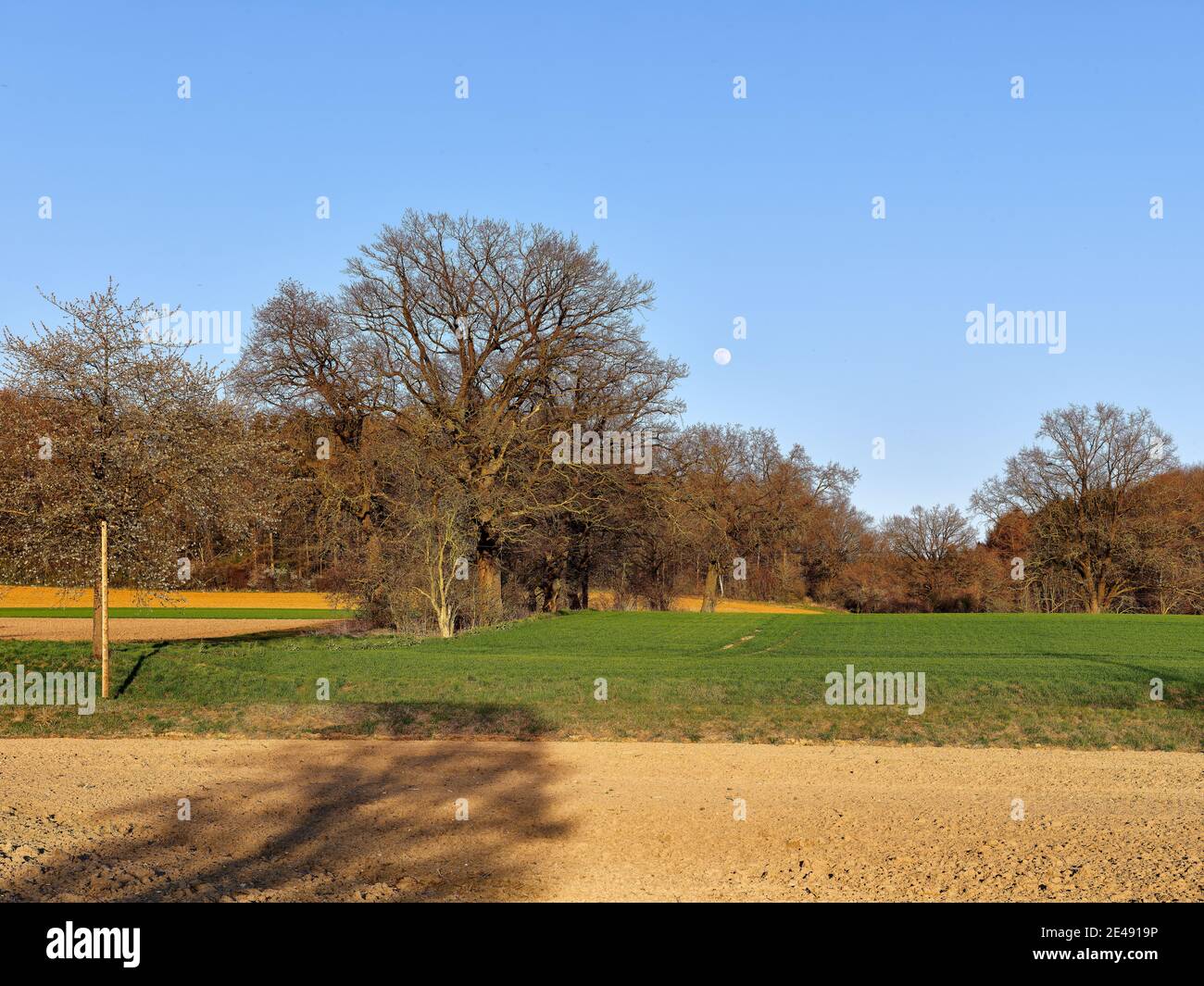 Cattle fence hi-res stock photography and images - Alamy