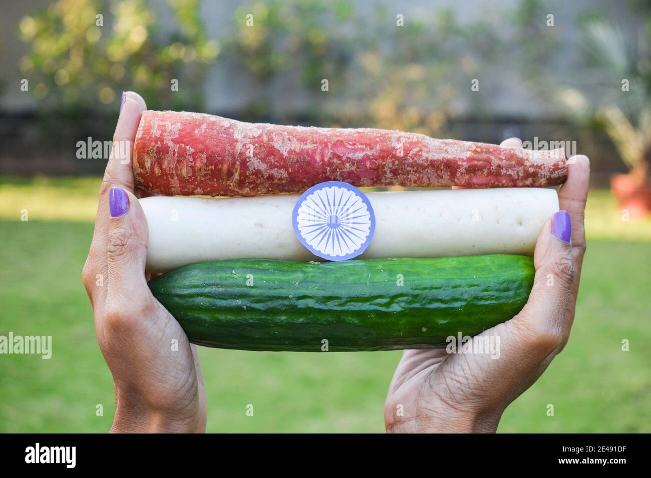 Indian republic day theme of tricolor India flag repicted by healthy ...