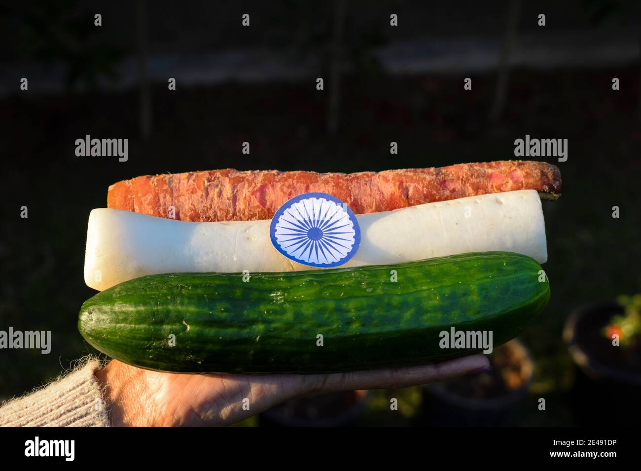 Indian republic day theme of tricolor India flag repicted by healthy ...