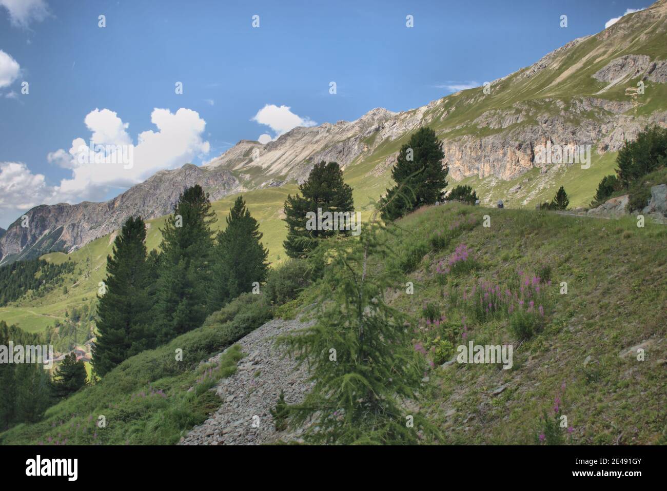 Incredible and unique mountain panorama at the Albulapass in ...