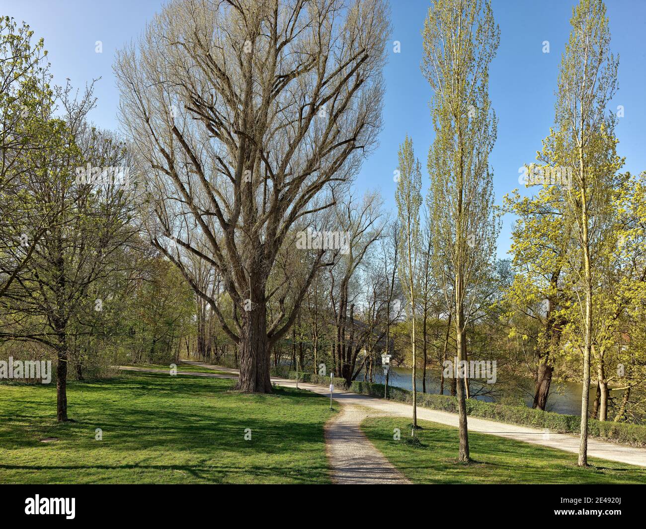 Edge of river bank hi-res stock photography and images - Alamy