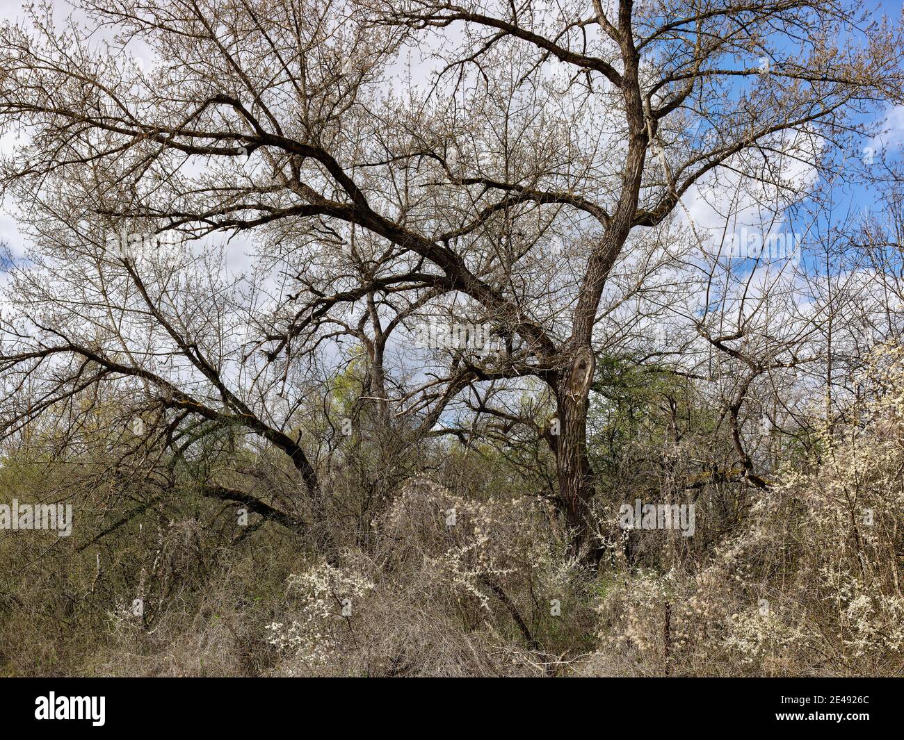 Alluvial water hi-res stock photography and images - Alamy