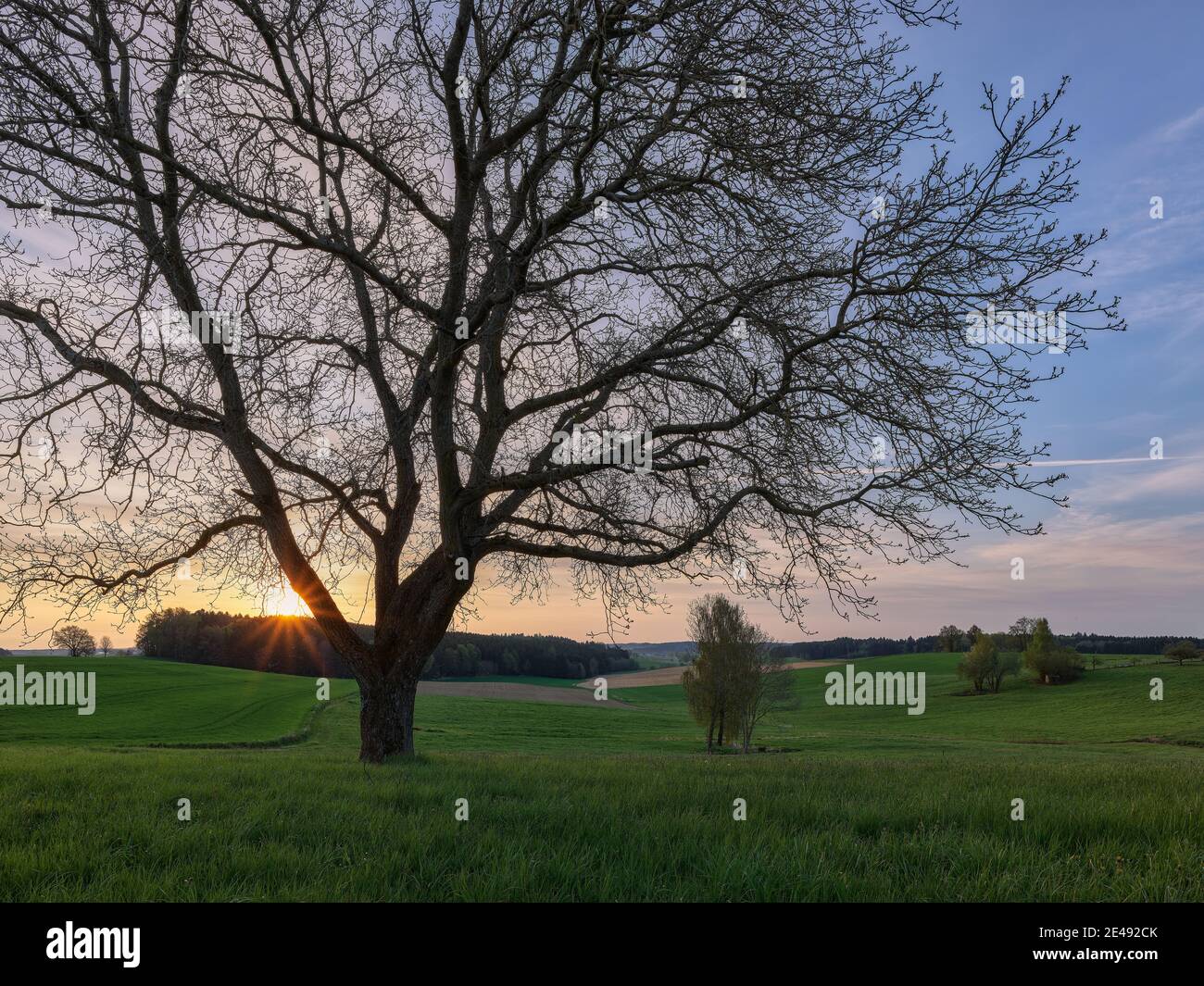 Hilly slope hi-res stock photography and images - Alamy