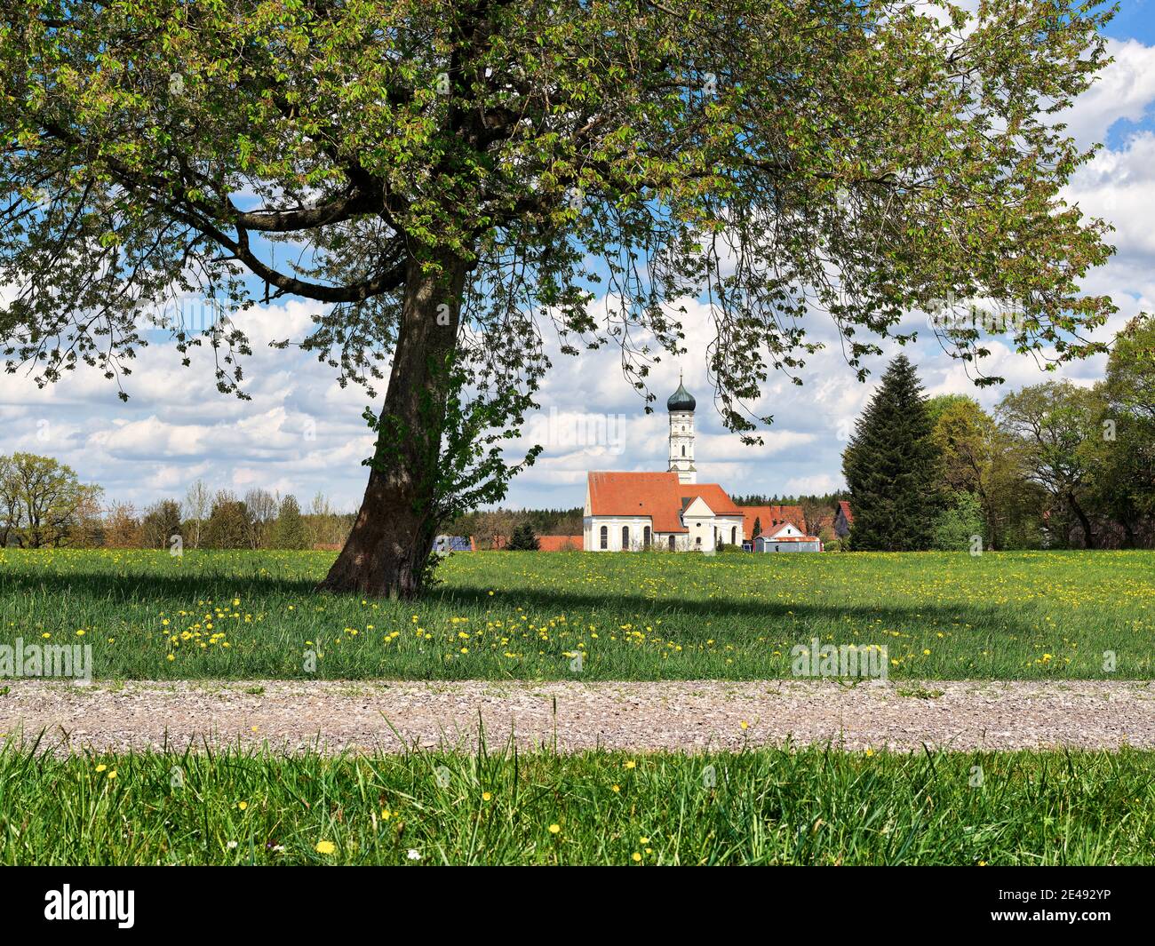 Pilgrimage church, church, forest, mixed forest, conifers, deciduous ...