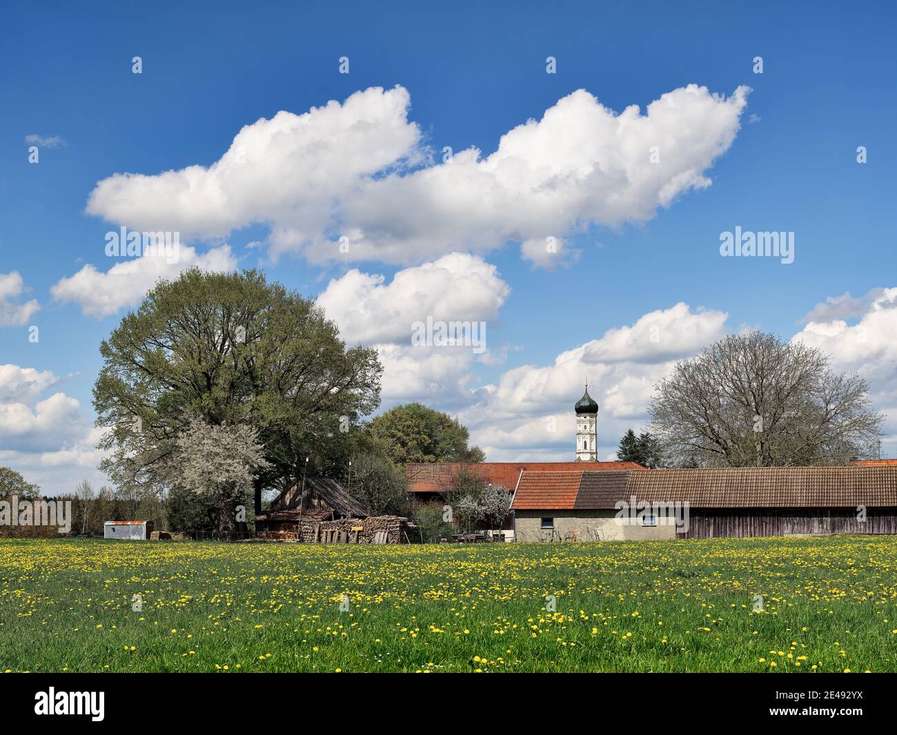 Pilgrimage church, church, forest, mixed forest, conifers, deciduous ...