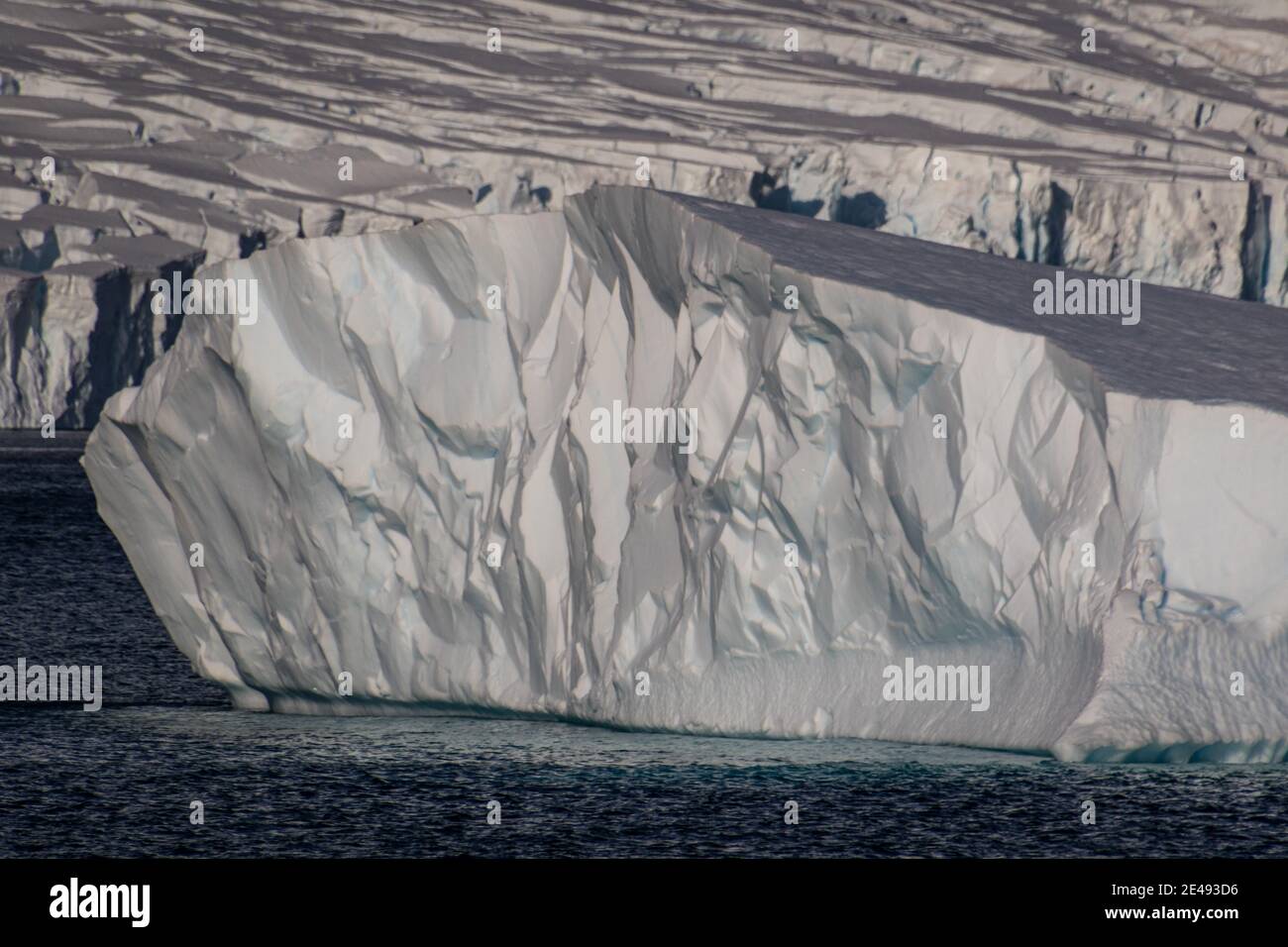 Iceberg and glacier, Antarctica Stock Photo - Alamy
