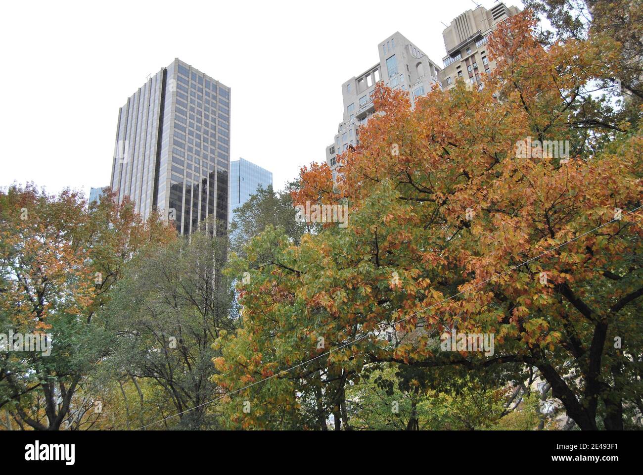 Trump parc new york hi-res stock photography and images - Alamy