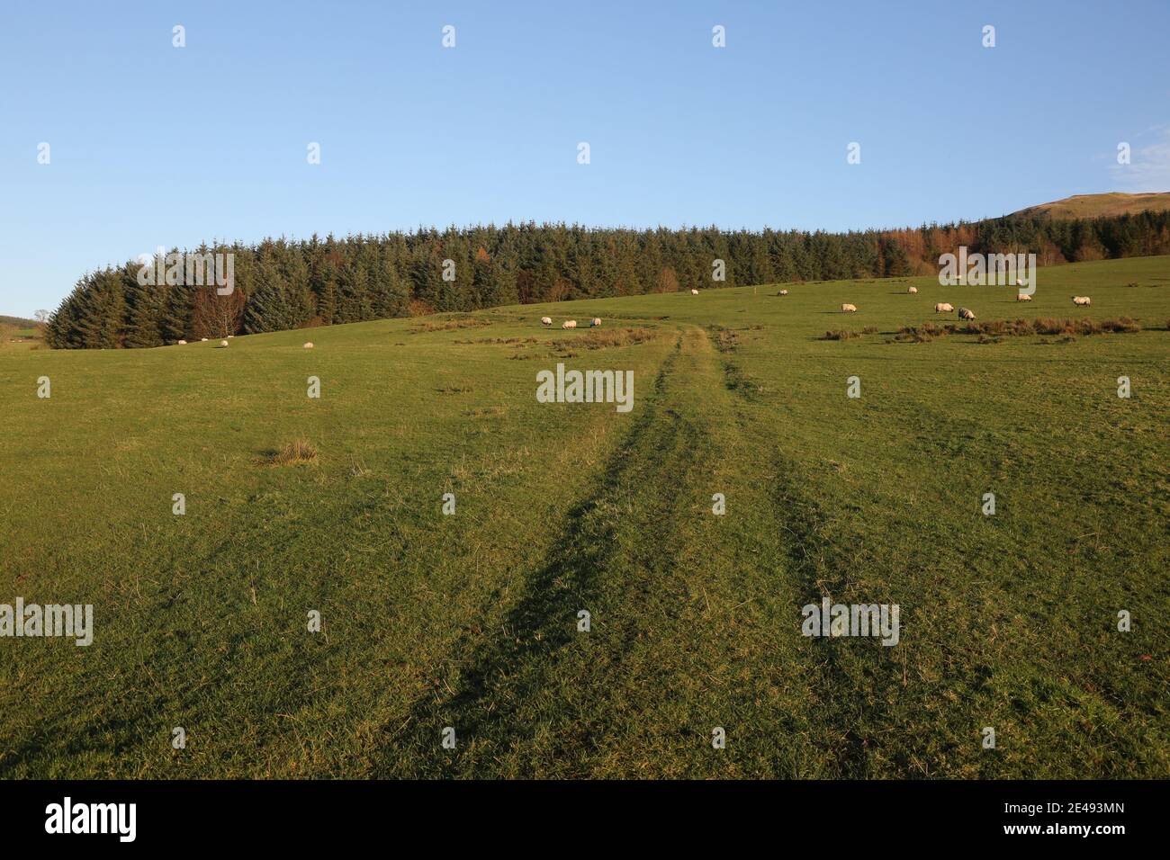 Straiton walk hi-res stock photography and images - Alamy