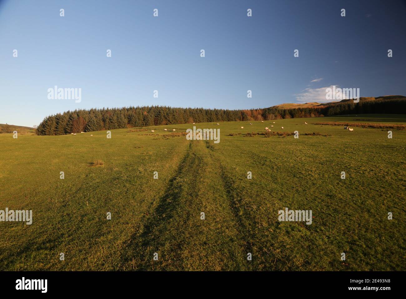 Straiton bennan hill hi-res stock photography and images - Alamy