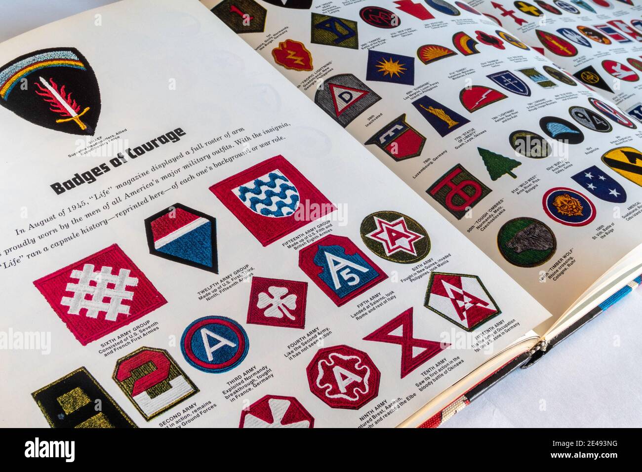 In August of 1945, "Life" magazine displayed a full roster of arm ...