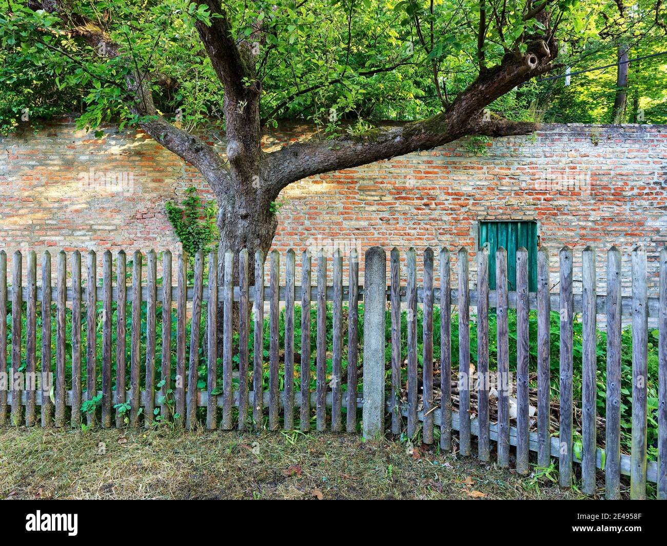 Tree protection fence hi-res stock photography and images - Alamy