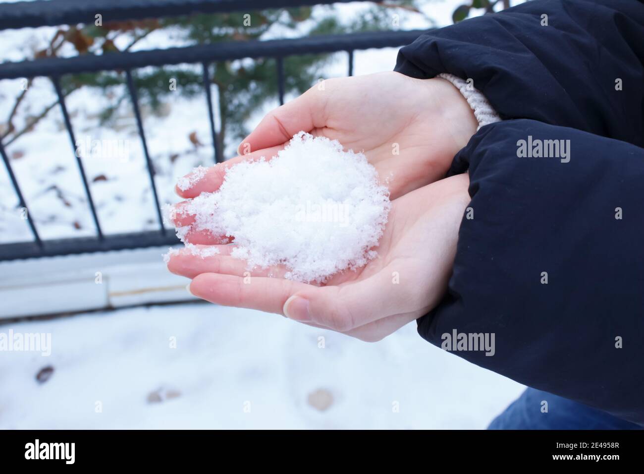 Close up woman hand holding snow. Cold and snowy weather. Winter ...