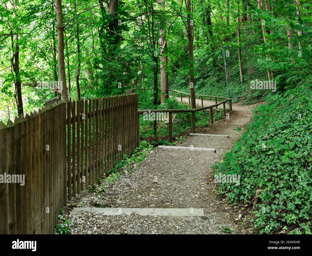 Romantic Forest Path High Resolution Stock Photography and Images - Alamy