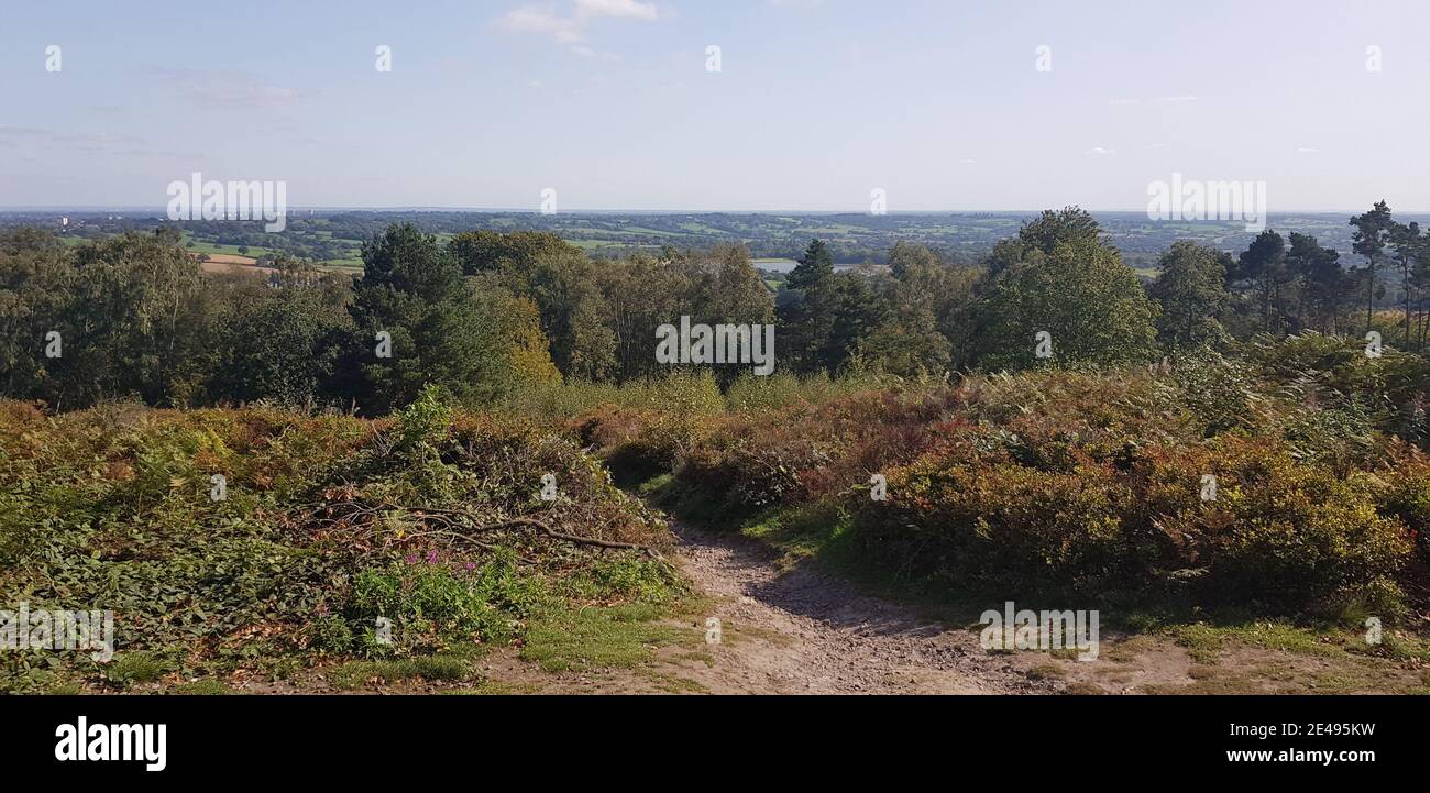 Lickey Hills Country Park Stock Photo - Alamy
