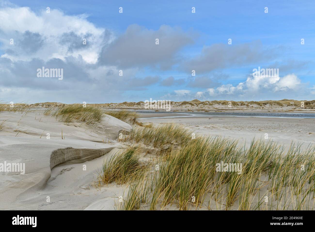 Dunes, beach, dune valley, beach grass, wind, foredunes, North Sea ...