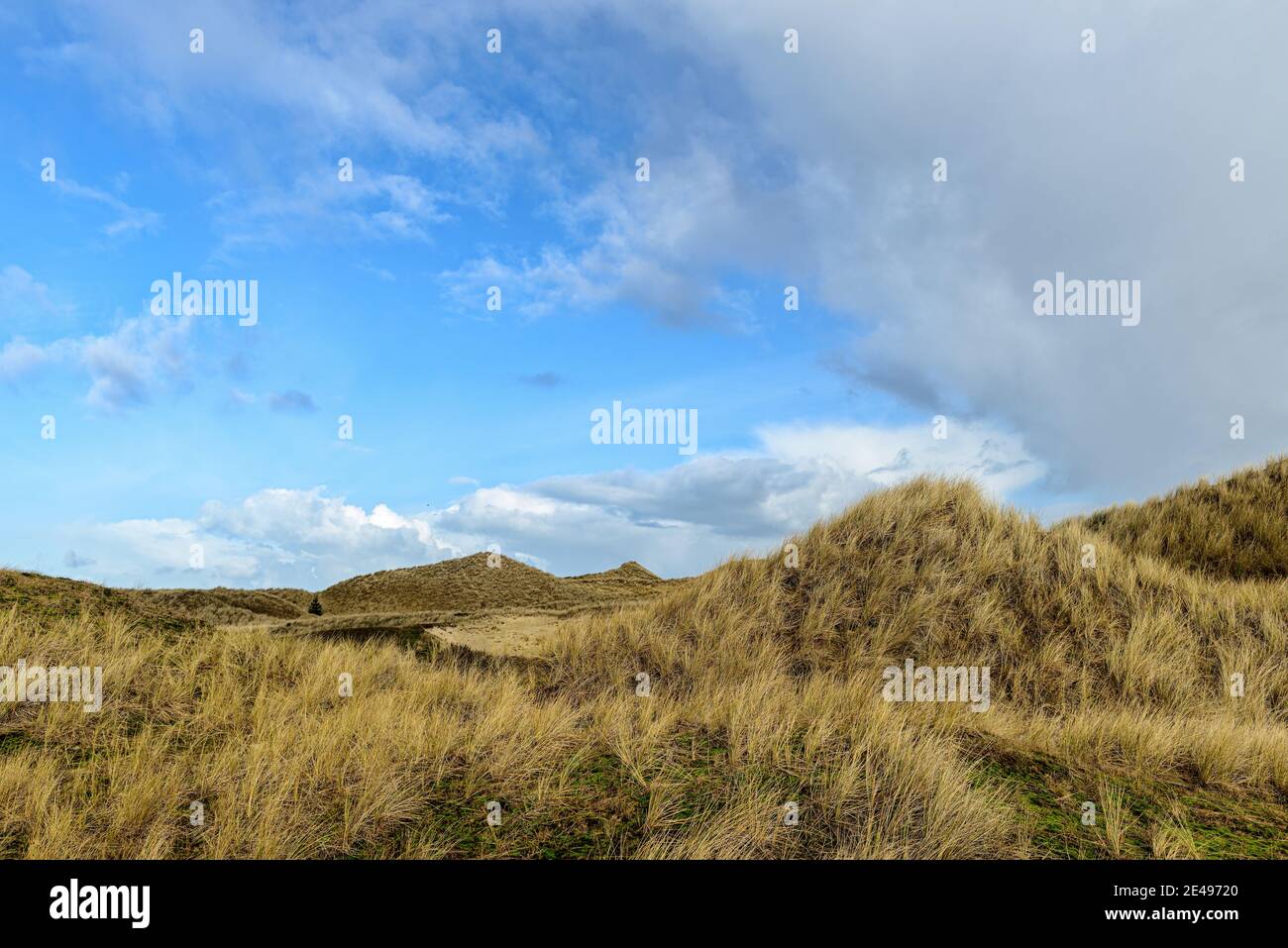 Dunes, beach, dune valley, beach grass, wind, sand flags, foredunes ...