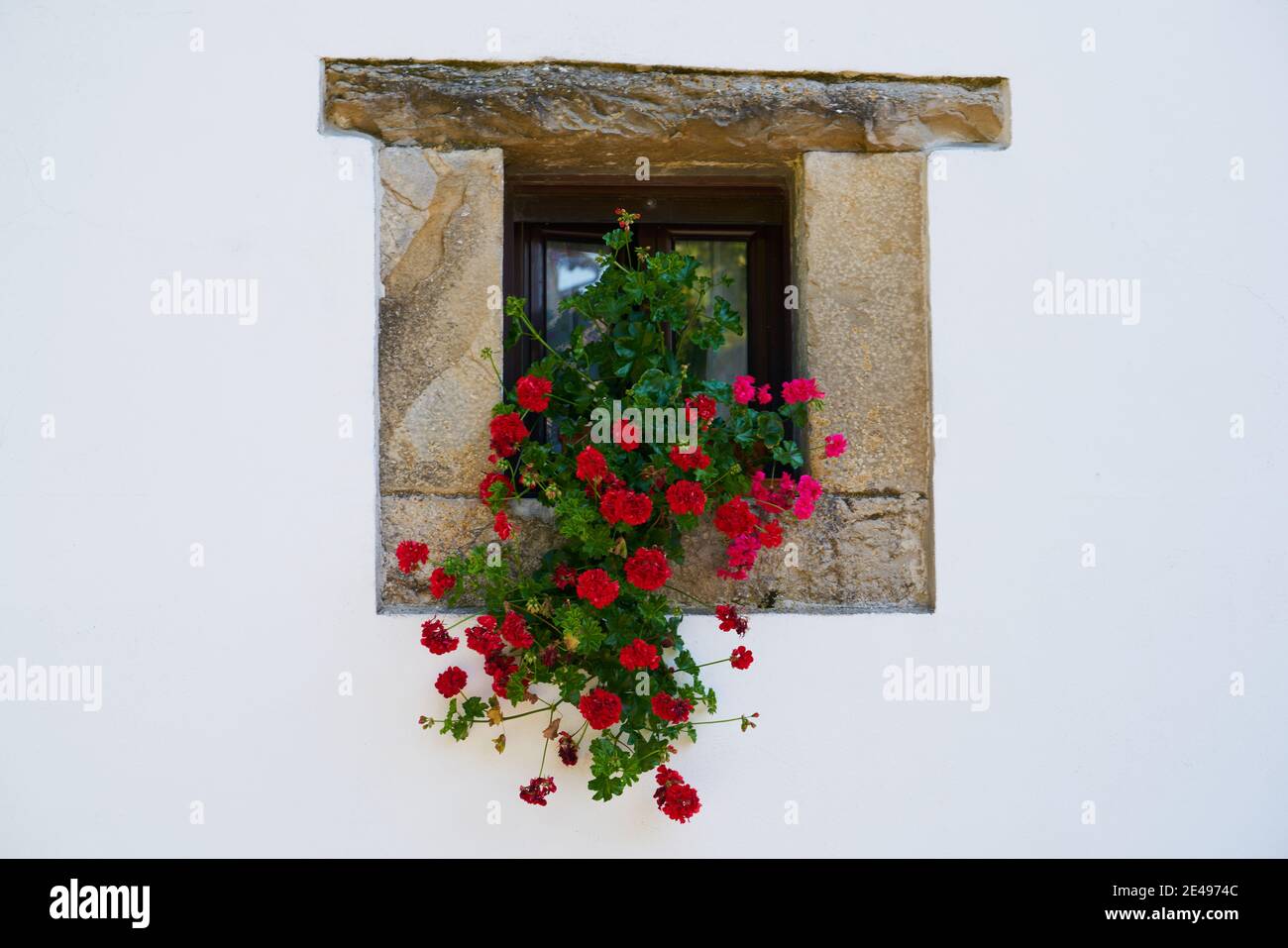 House plant window ledge hi-res stock photography and images - Alamy