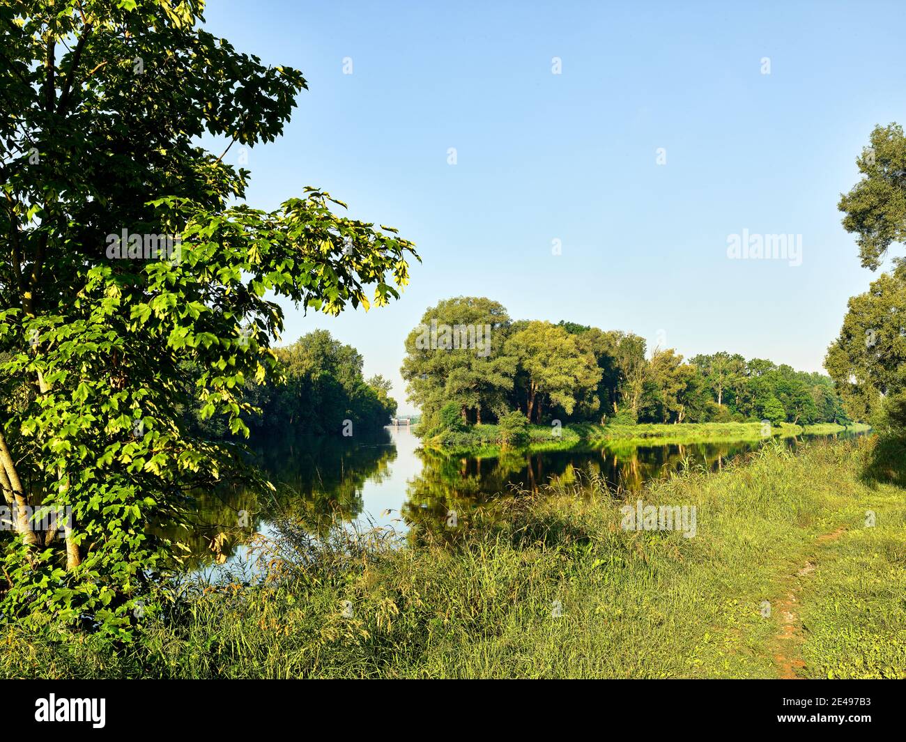 Floodplain Forest Alluvial High Resolution Stock Photography and Images ...