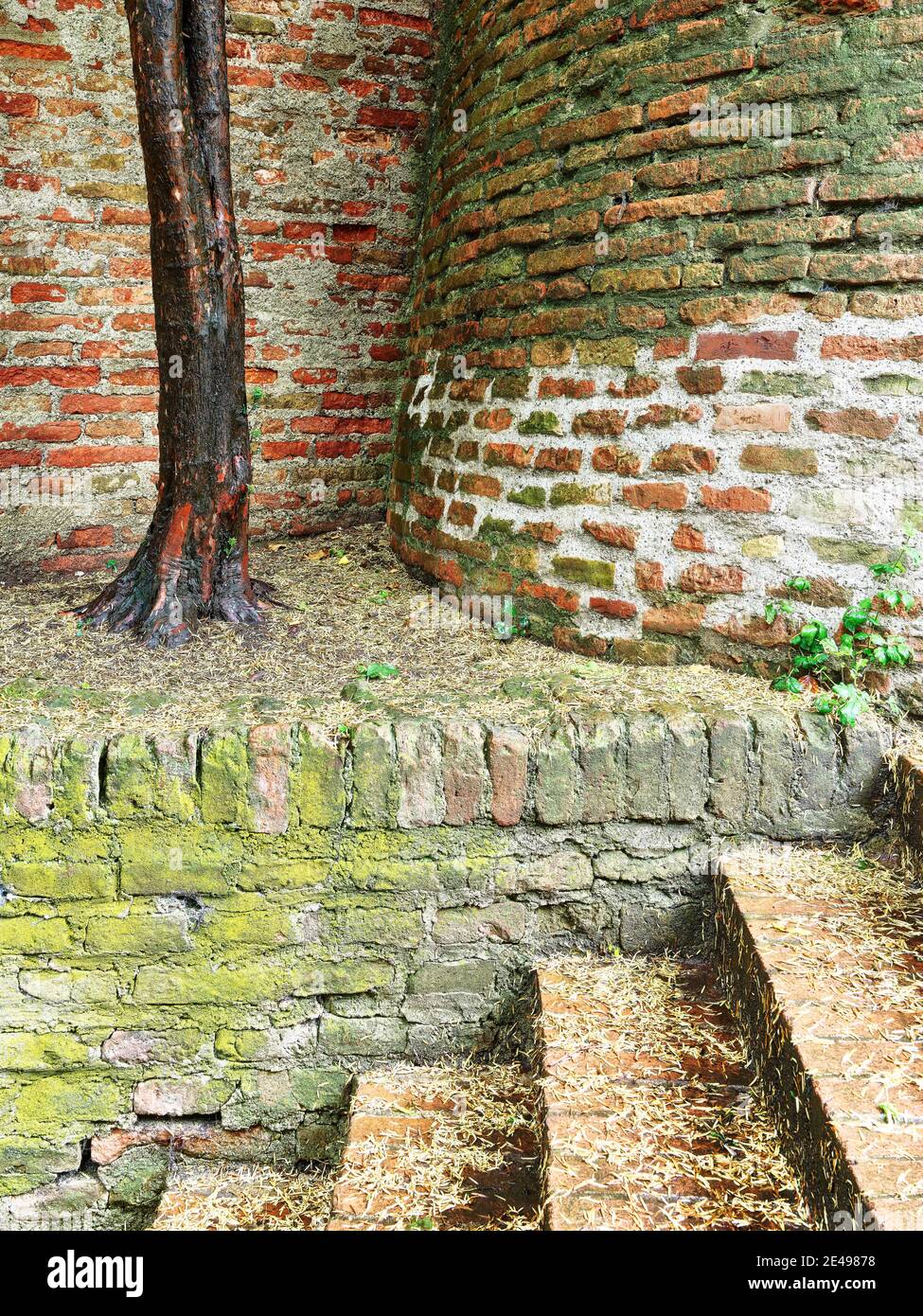 Bastion system hi-res stock photography and images - Alamy