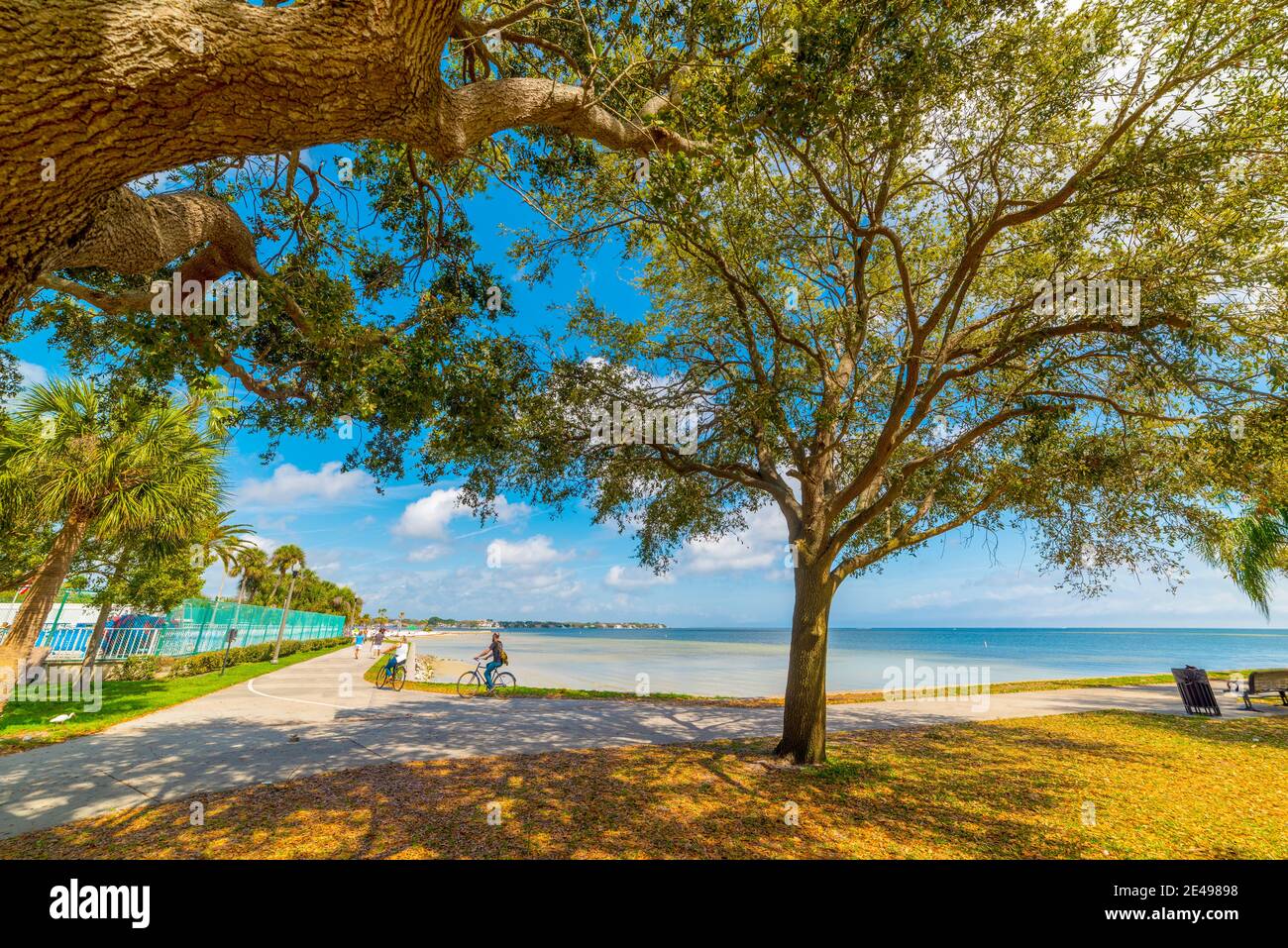 Vinoy park hi-res stock photography and images - Alamy