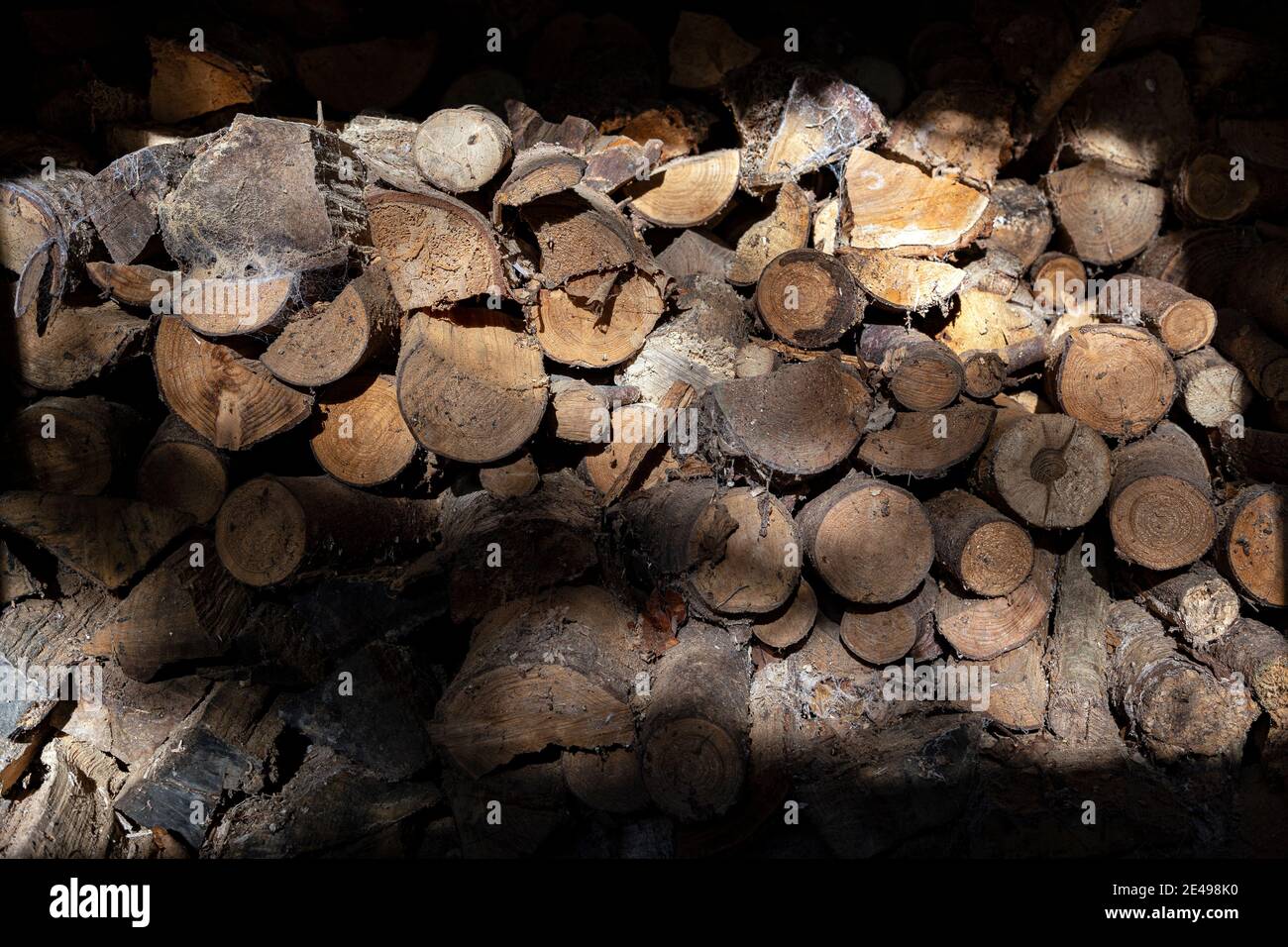 Log, Wood - Material, Stack, Firewood, Woodpile, Cross Section, Timber ...