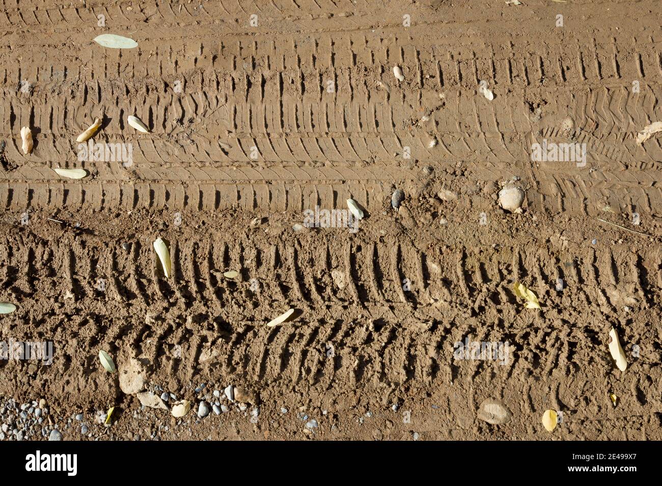 Wheel tracks. Track off-road of a tire. Wheel tracks on the muddy ...