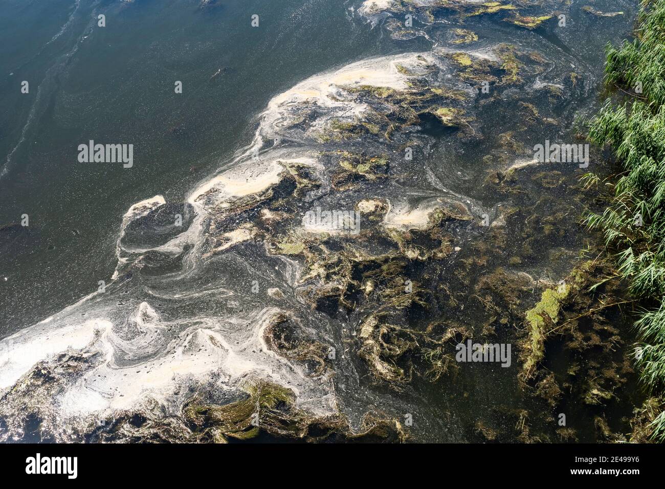 Algae formation hi-res stock photography and images - Alamy