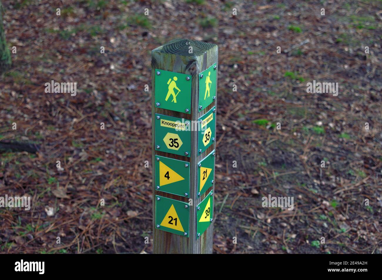 Wooden hiking trail signpost with yellow symbols and arrows on a green ...