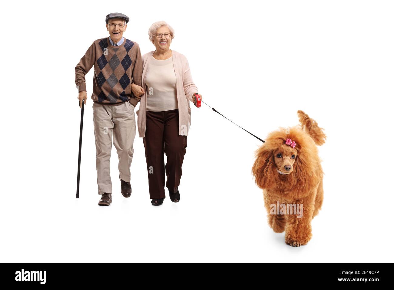 Full length portrait of an elderly couple walking a red poodle dog ...
