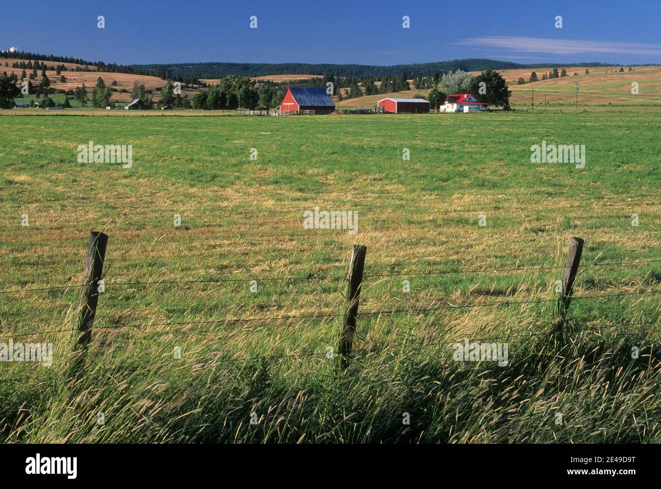 Wallowa Valley barn, Hells Canyon National Scenic Byway, Oregon Stock ...