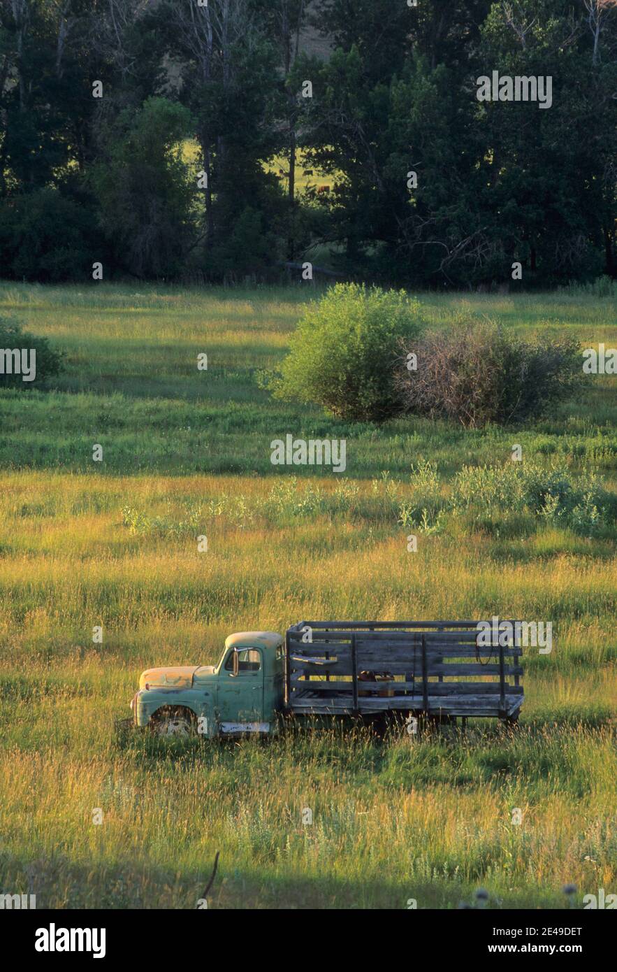Abandoned old truck hi-res stock photography and images - Alamy