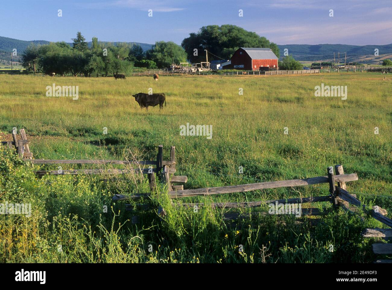 Baker county hi-res stock photography and images - Alamy