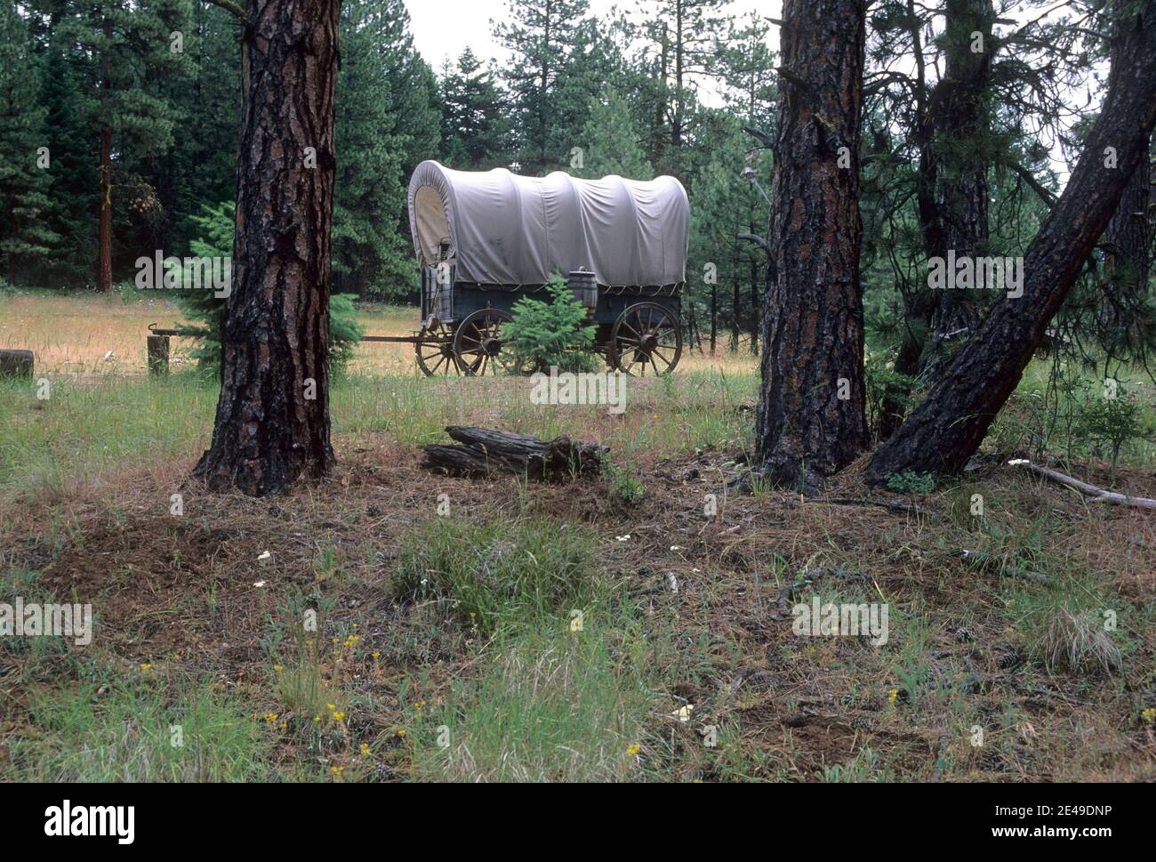 Covered wagon, Blue Mountain Crossing Interpretive Area, Oregon Trail ...