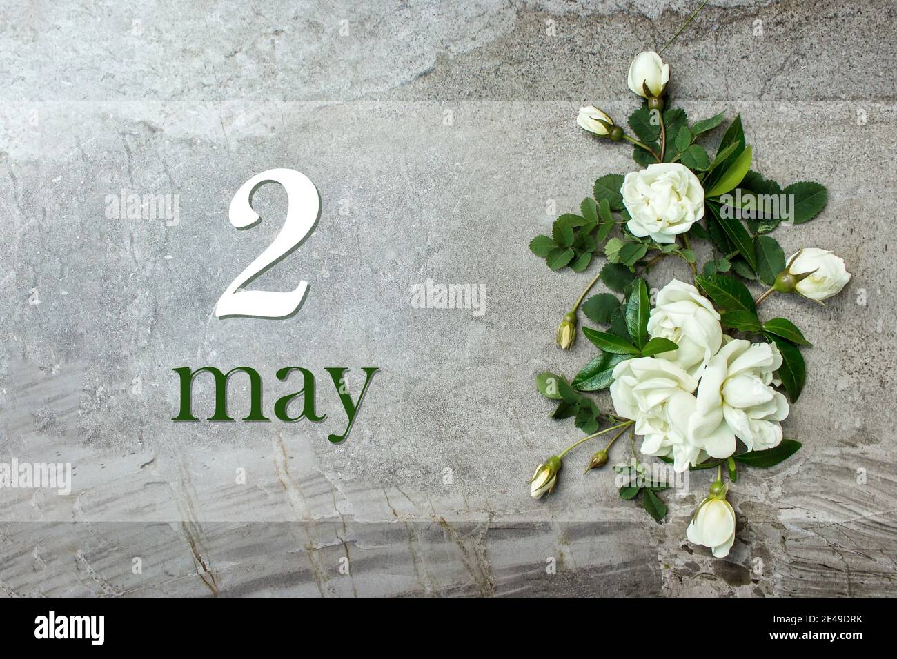 May 2nd. Day 2 of month, Calendar date. Stylish roses flat lay. White ...