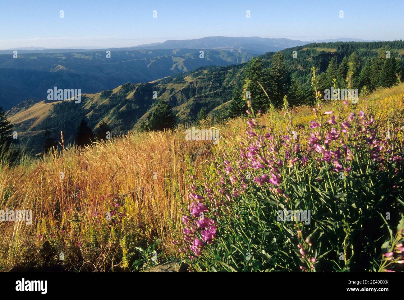 Hells Canyon Overlook view, Hells Canyon National Recreation Area ... Hells Canyon Overlook view, Hells Canyon National Recreation Area ...
