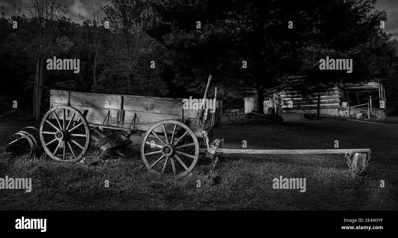Horse transport in central Black and White Stock Photos & Images - Alamy
