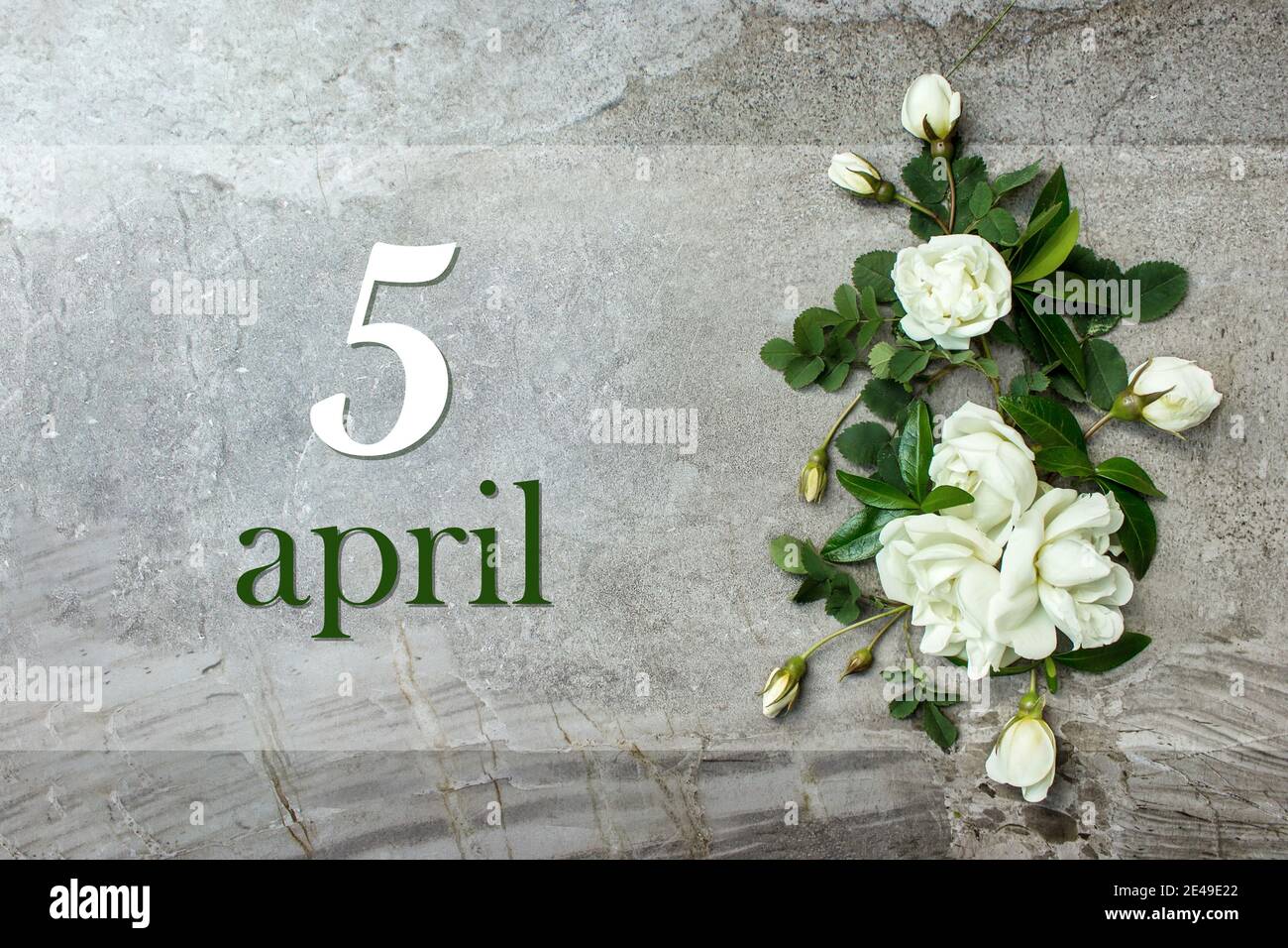 April 5th. Day 5 of month, Calendar date. Stylish roses flat lay. White ...
