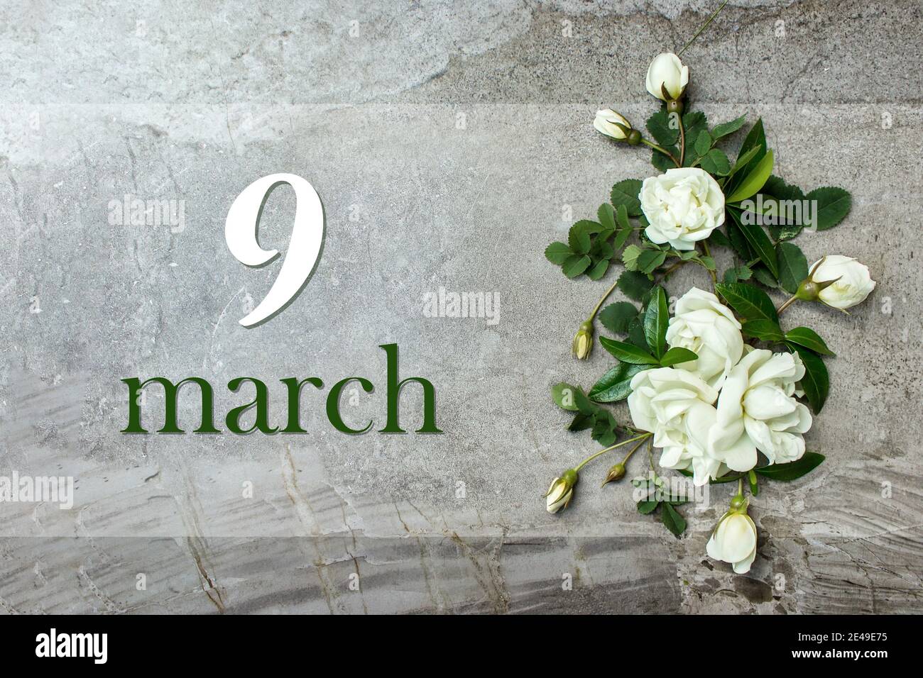 March 9th. Day 9 of month, Calendar date. Stylish roses flat lay. White ...