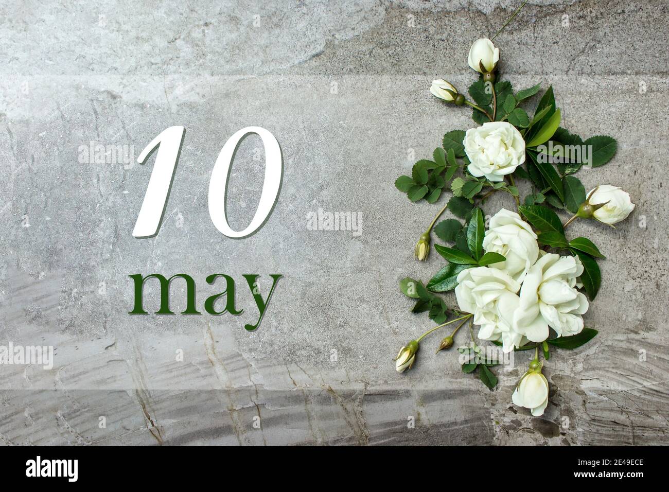 May 10th. Day 10 of month, Calendar date. Stylish roses flat lay. White ...