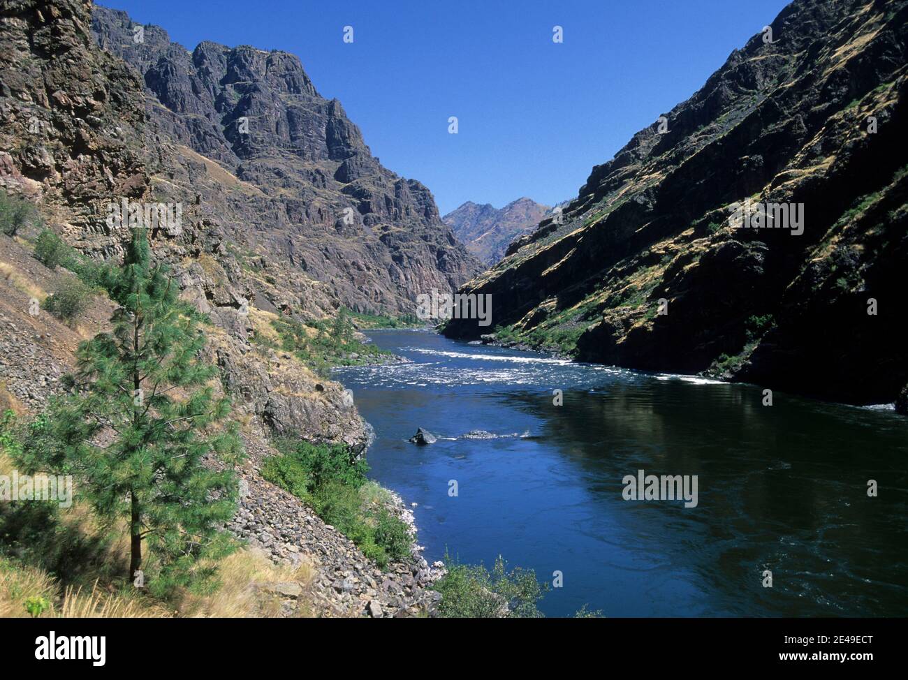 Snake River from Stud Creek Trail, Snake Wild & Scenic River, Hells ...