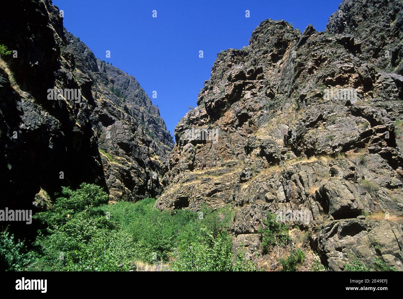 Hells Canyon Creek canyon, Snake Wild & Scenic River, Hells Canyon ...
