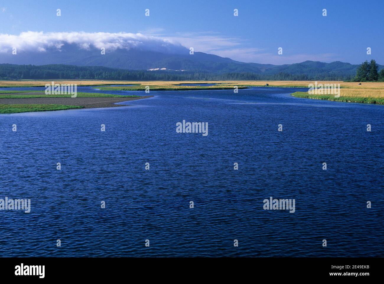 Sand Lake, Clay Myers State Park, Oregon Stock Photo - Alamy