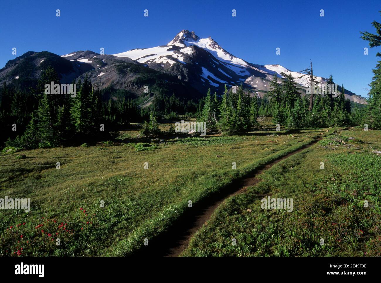 Mt Jefferson from Pacific Crest Trail in Jefferson Park, Mt Jefferson ... Mt Jefferson from Pacific Crest Trail in Jefferson Park, Mt Jefferson ...