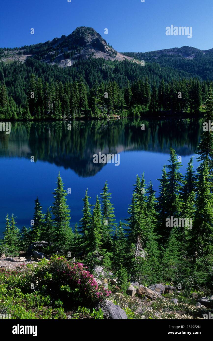 Park Butte from Scout Lake, Mt Jefferson Wilderness, Willamette ...