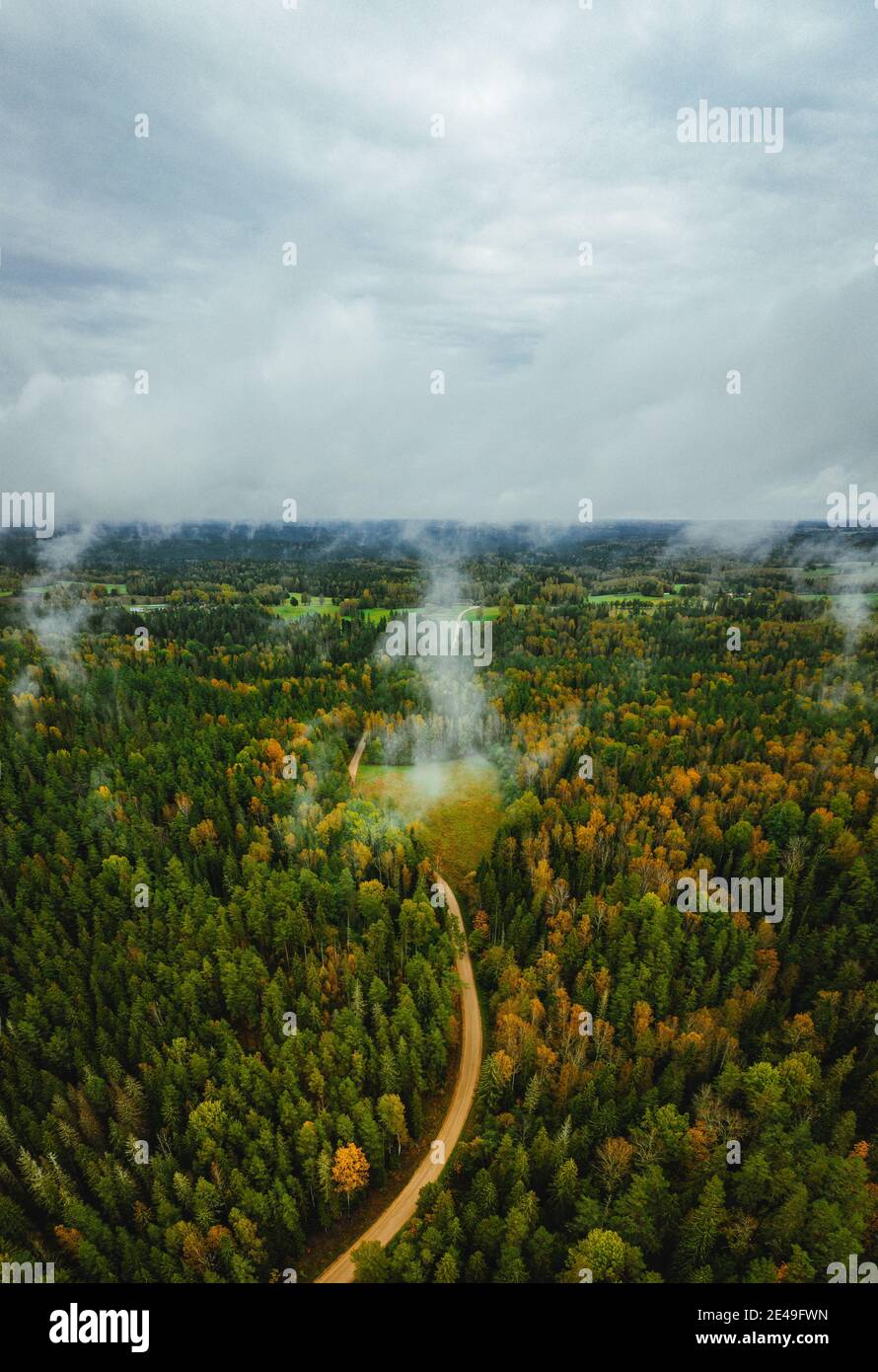 Drive through dense forest on hi-res stock photography and images - Alamy