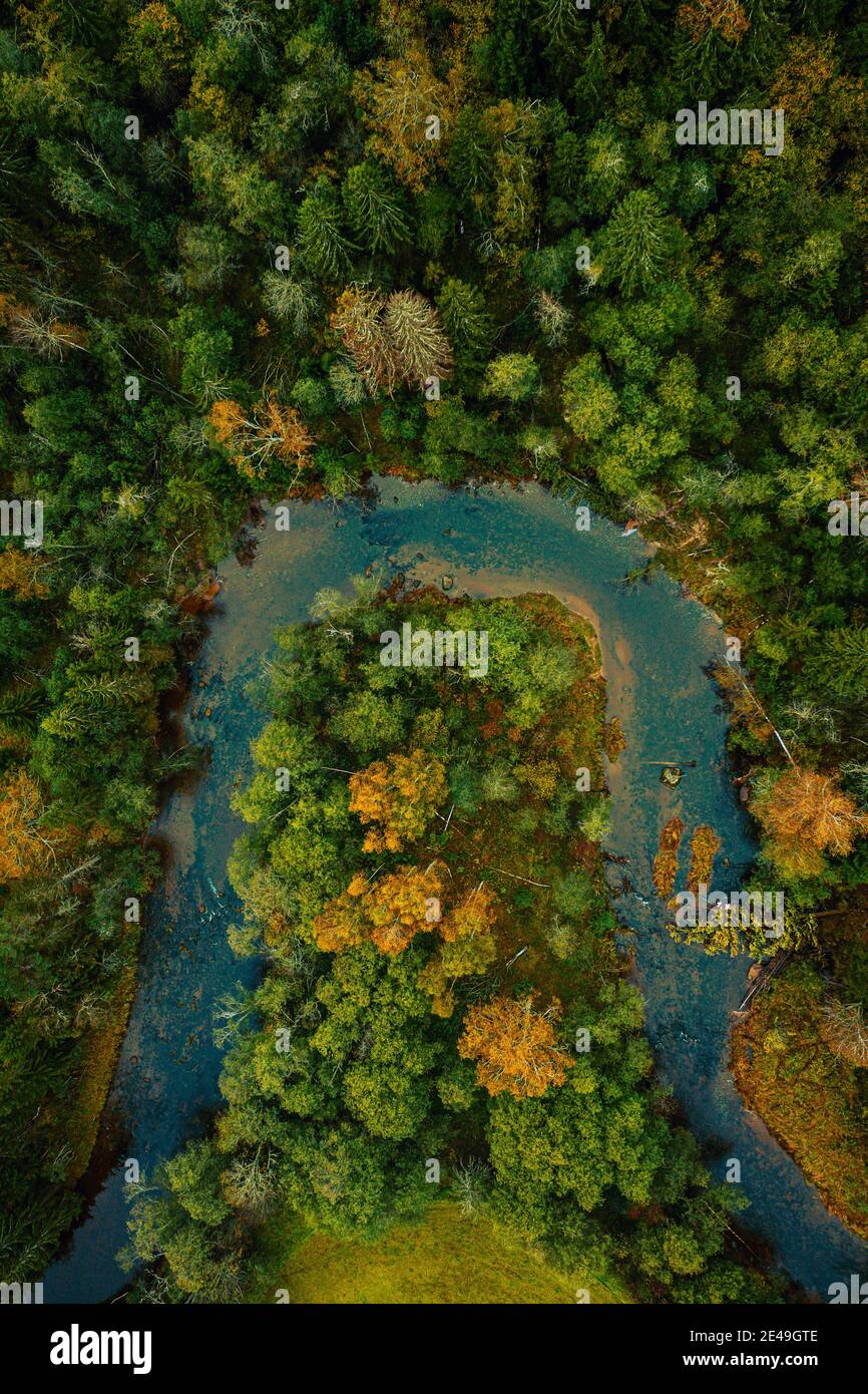 Vertical top view of a curly flowing river through a dense forest on an ...
