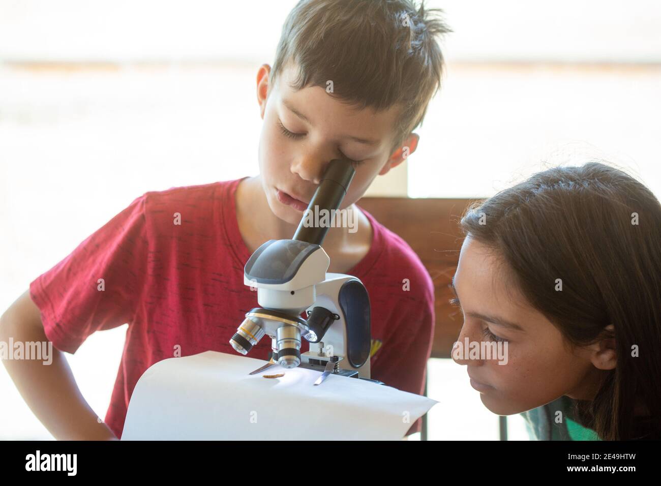 Ear microscope hi-res stock photography and images - Alamy